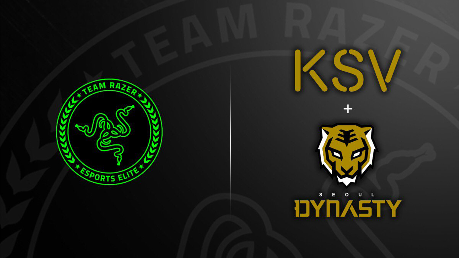 Razer, Sponsor Olduğu eSpor Takımları Listesine İki Güçlü Ekibi Daha ...